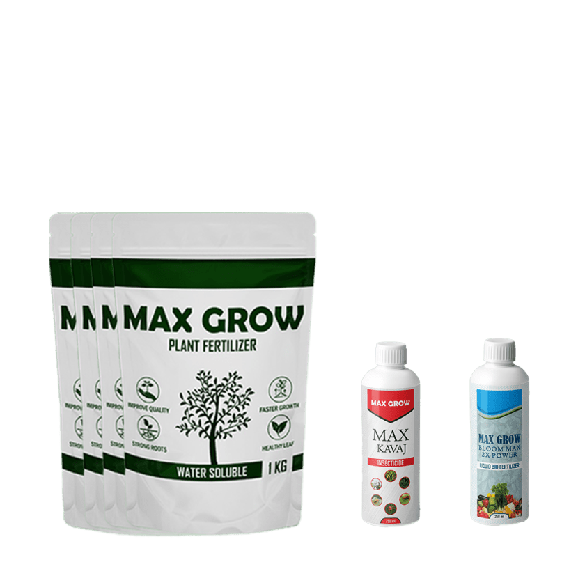 Maxener Wellness – Live Free