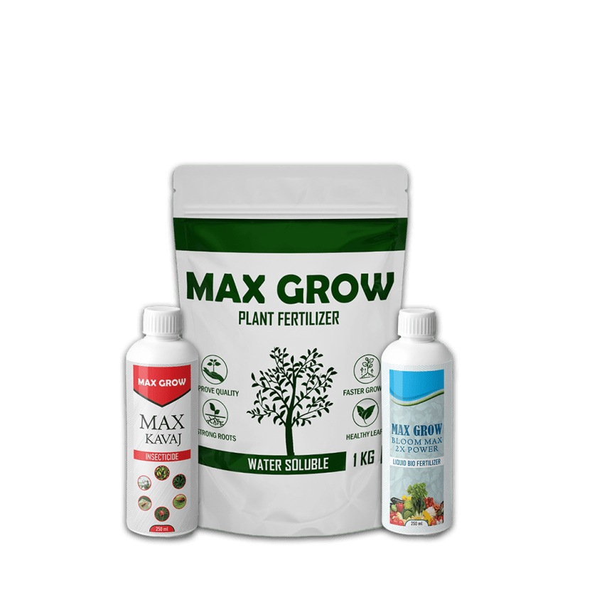 Max Grow Mini Kit – Maxener Wellness